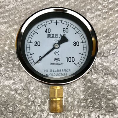 雷尔达仪表 膜盒压力表 直径100mm 压力 0-100kpa 螺纹M20x1.5