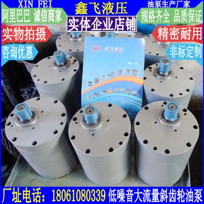 TXLB-B350 TXLB-B400 TXLB-B500大流量斜齿轮油泵 液压泵泵头