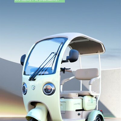 大安罗纳多电动三轮车星语1号老人代步接送孩子X时尚经典款式