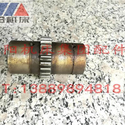 沈阳机床 中捷钻床Z3063-20Z3080-25电机齿轮87307齿数24
