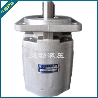 高压力高转速 CBGz2 齿轮油泵系列 CBG2/2 液压泵抗震高品质