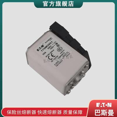 170M3951 3952 3953 3954 3955 巴斯曼bussmann快速熔断器保险丝