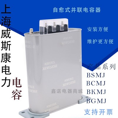 自愈式低压并联电容器bsmj0.45-1-3电力电容器并联电容器450V促销