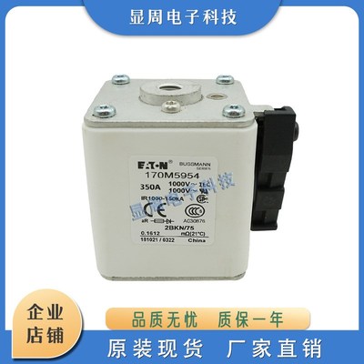 保险丝熔断器170M5955 170M5956 170M5957 170M5958 170M5959