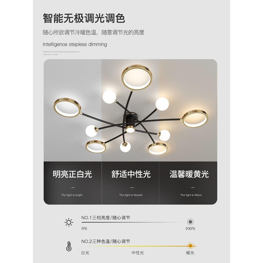 吸顶灯大厅其他灯轻奢简约现代创意主卧图纯货灯客厅现代简约无