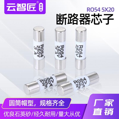 RO54 BS1362 250V5A 熔断器 5X20 陶瓷熔芯保险丝管5A 250V 100只