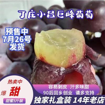 正宗丁庄巨峰葡萄当季句容特产新鲜孕妇现摘水果5斤整箱冷链包邮