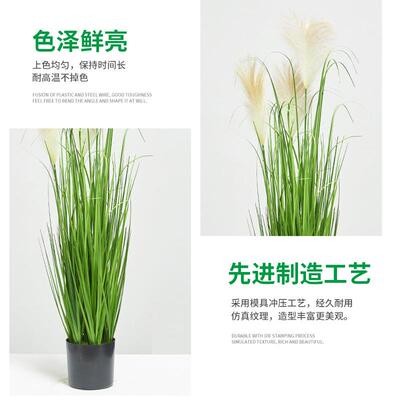 包邮三头仿真21820芦苇假蒲苇仿真叶花洋葱草生绿花植植物卉仿盆