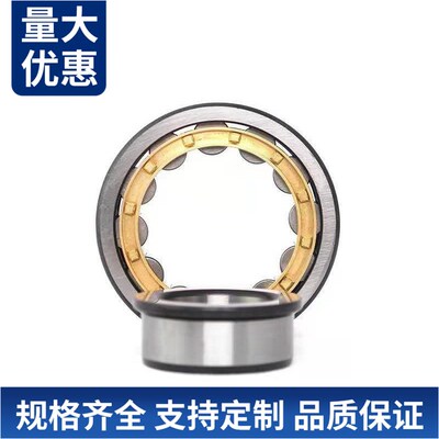 圆柱滚子轴承N1004 1005 1006 1007 1008 1009 1010 1011 1012 EM
