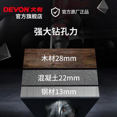 有（evon）RXJ无刷电锤5401多功能锂电锤充电电锤电D镐两用锤磨大