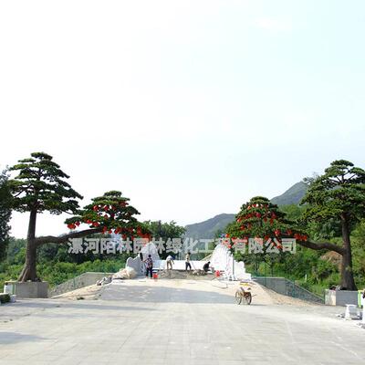 式中仿真松树绿植美人松假树造型装饰大家居植物设汉计工FZFS-250