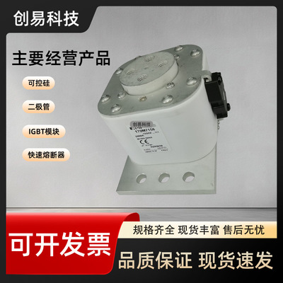 巴斯曼熔断器170M7217/7107等