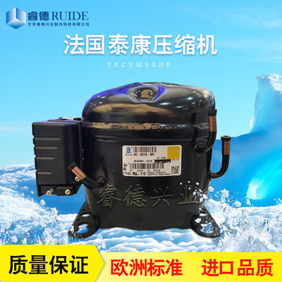 法国泰康全封闭冷藏用压缩机