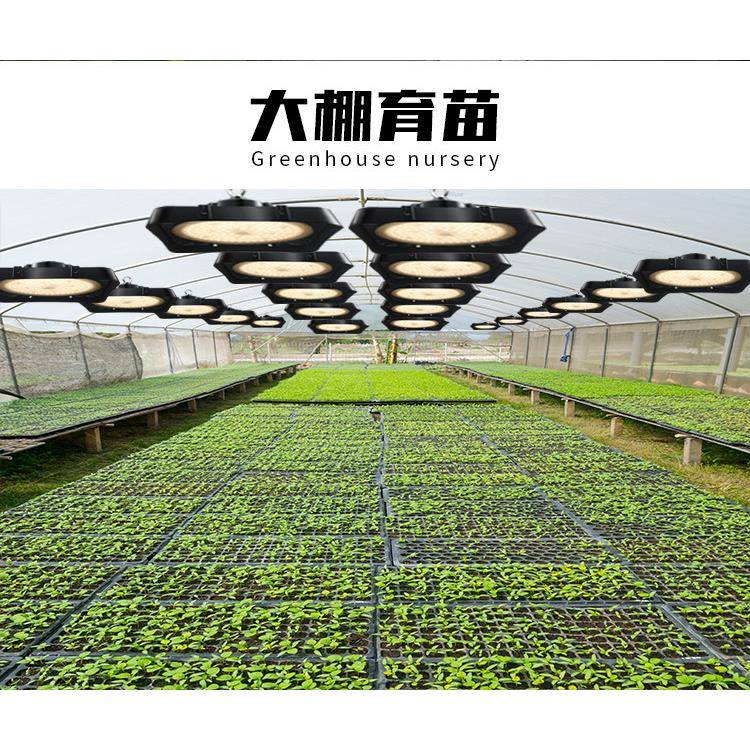 生长多防水灯灯AL其他AL增大功专业功率大棚防率色花卉菜花肉色大