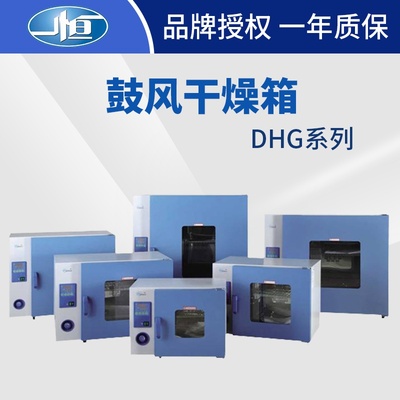 上海一恒GRX-9013/9023/9053/9073A 干热消毒箱热空气干烤灭菌器