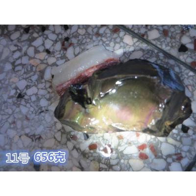 天然彩虹眼曜雕石石毛GED料黑刻料风水摆原件