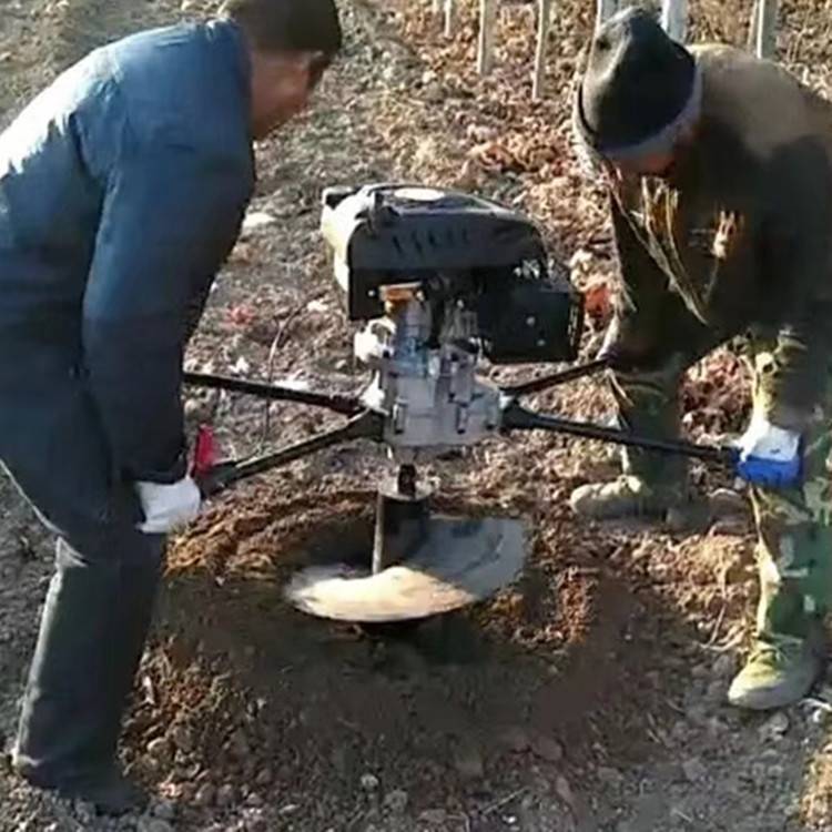 园林绿化种植挖坑机 多用途种植挖坑机 荒地开荒打洞机 厂家