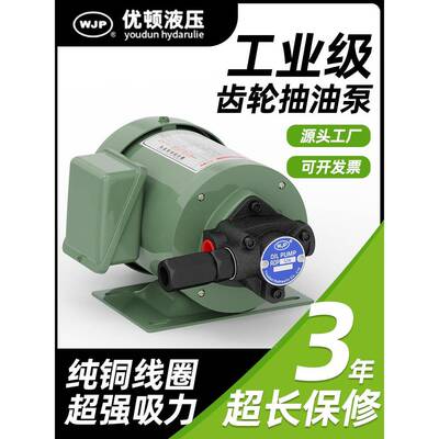 PHDG220V润滑泵三角摆T线泵机床工业润滑泵O-12A电动抽油泵维良泵