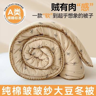 A全棉皱纱秋季JJO被皱子豆纤维秋冬被纯棉纱布类母婴可用被子被大