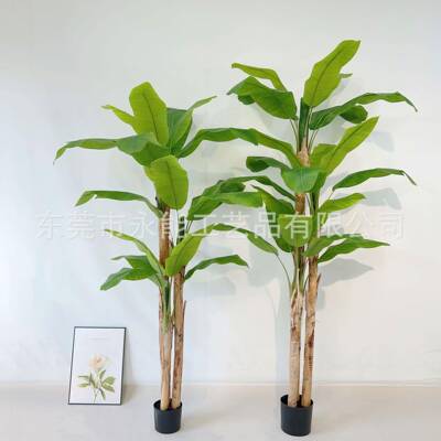真芭树绿仿植落地树盆栽蕉室内装饰客仿真芭蕉植物旅人蕉香蕉SAQ