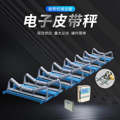 ICS料-14型电子皮带秤 全浮式称重桥架高精度 小型称重配皮悬带秤