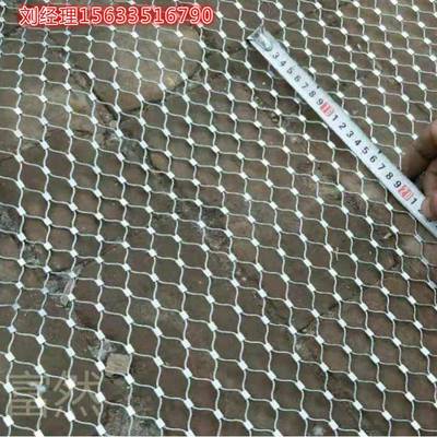 动物园保护柔安性不形锈钢绳全网圆三角型筒形WIL不锈钢卡扣绳网