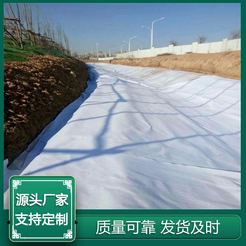 220g长丝白色土工布耐腐蚀无纺土工布园林绿化无纺土工布