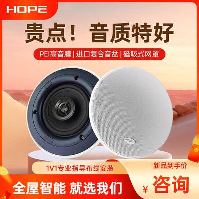HOPE/向往709吸顶喇叭背景音乐音响音箱扬声器开孔148MM功率10瓦