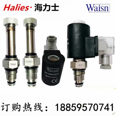 台湾崴盛WAISN电动止回阀HS-2C DC24V AC220V升降阀CSV0202