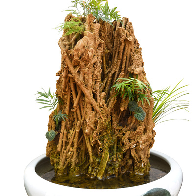 天然芦管石钟乳石吸水石原石上水石假山大型盆景摆件植物化石直播