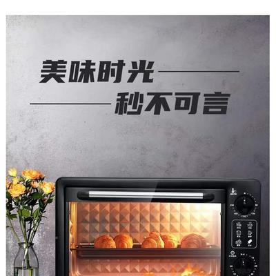 烤箱厂003家直型销家功用多能22L电烤小定时箱烘焙电烤箱