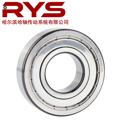 RYS 不锈钢轴承 6403 6404 6405 6406 6407 6408 ZZ