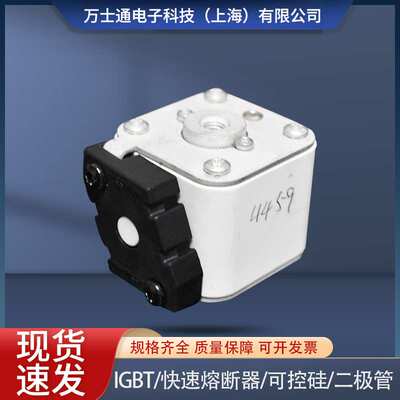 170M4458 170M4459 170M4460 170M4461 170M4462 170M4463熔断器