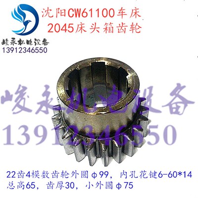 沈阳安阳天水机床配件CW61100 CW61100B CW61125E床头箱齿轮2045