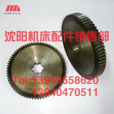 沈阳机床管螺纹车床S1-245B S1-262A齿轮8004 Z75外径173 S1-245A