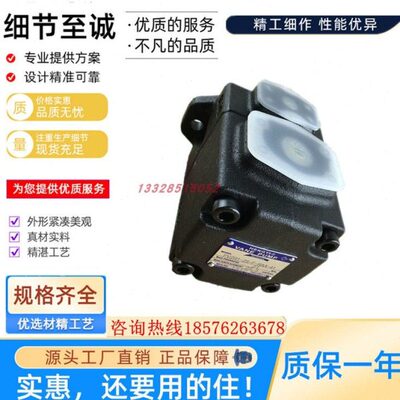 NE3F/65F/G2 V2F/IRF/7541H26745-台湾95PF/F/3F/F Y叶片泵3