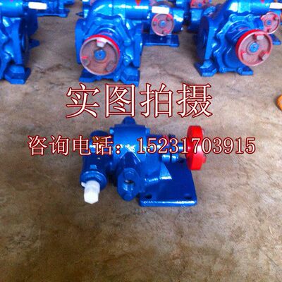 厂销KCB-33.3齿轮泵/齿轮油泵/抽油泵/输油泵/乳胶漆泵/胶水泵头