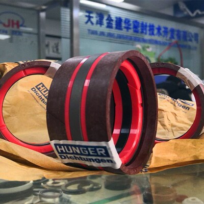 进口德国HUNGER洪格尔密封圈系列TDI/GD1000K油缸/剪板机油封大全