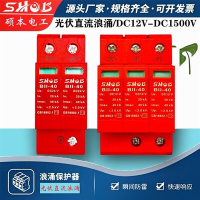 光伏直流浪涌保护器2PDC12VDC24VDC48V3P太阳能直流防雷DC器110V