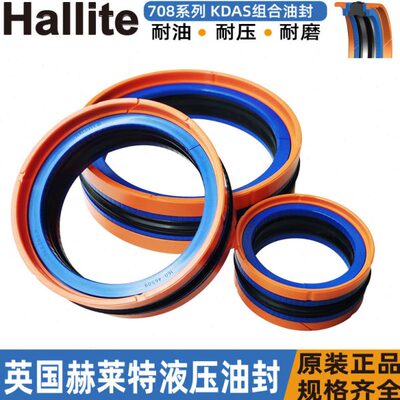 hallite赫莱特双向H780组合油封KDAS 进口95 100*75 80*35.1 37.6