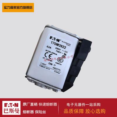 熔断器170M8610 170M8611 170M8612 170M8613 170M3921 170M3922