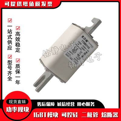170M3019 170M3020 170M3021 170M3022巴斯曼熔断器现货170M3023