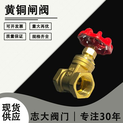 全铜闸阀开关4分6分1寸2dn15 20 25 32 50铜闸阀自来水总阀阀门40