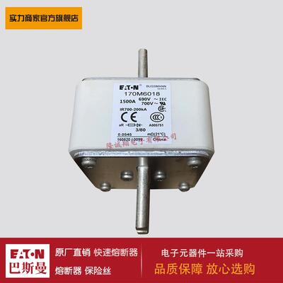 熔断器170M6015 170M6016 170M6017 170M6018 170M6019 170M6020