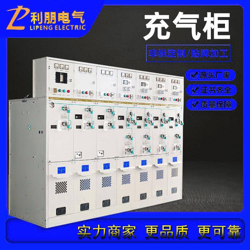 出口10kv高压开关柜成套充气柜固体全绝缘环网柜电力配电柜厂家