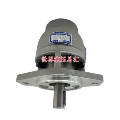 阜新齿轮泵CBF-E25A.32A CBF-E10.25.40P杭州合力叉车专用齿轮泵