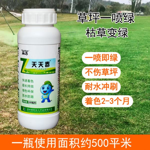 草坪染色剂草衣增绿剂枯草变绿剂速绿休眠期草秒绿一喷绿环保持久