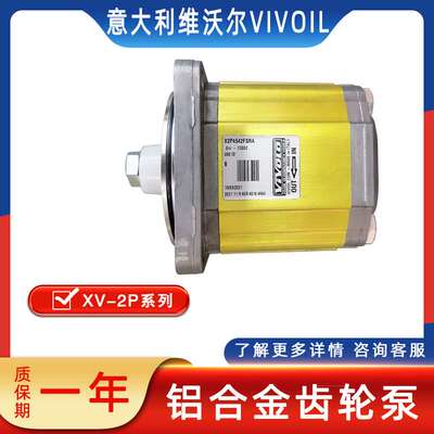 意大利维沃尔VIVOIL铝合金齿轮泵液压泵X2P4542FSRA/X2P4541FSRA