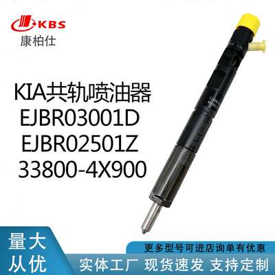 德尔福共轨喷油器EJBR03001D/EJBR02501Z 33800-4X900 零售