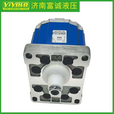 VIVOIL大排量高压双向齿轮泵X3R7231IHHF高压齿轮泵VIVOLO原装泵